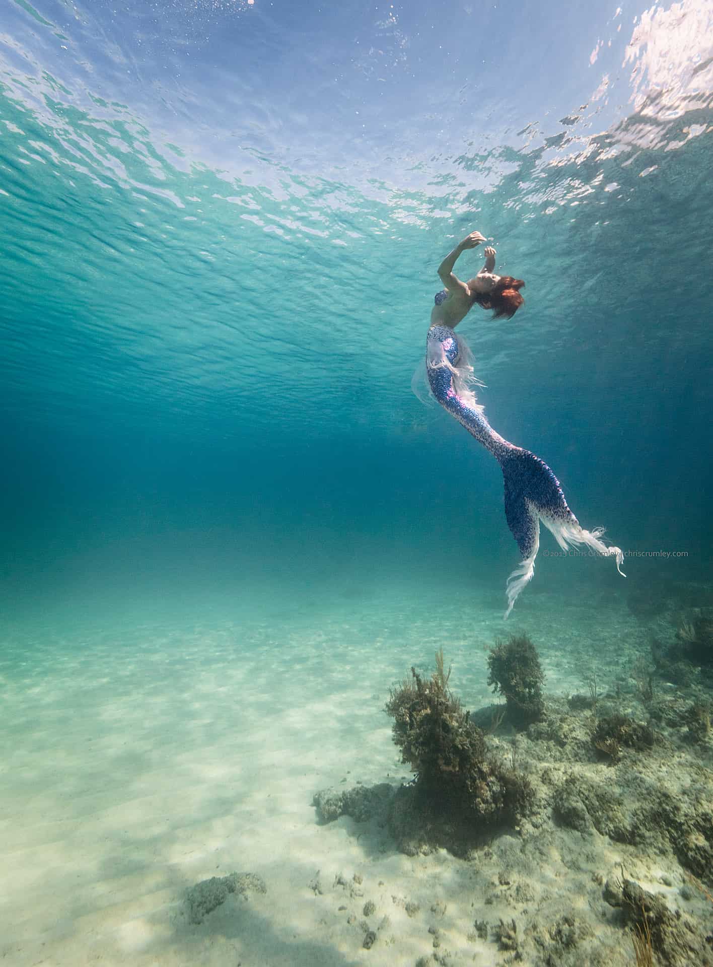 Meet the Mermates! The Leading Ladies For European Mermaids